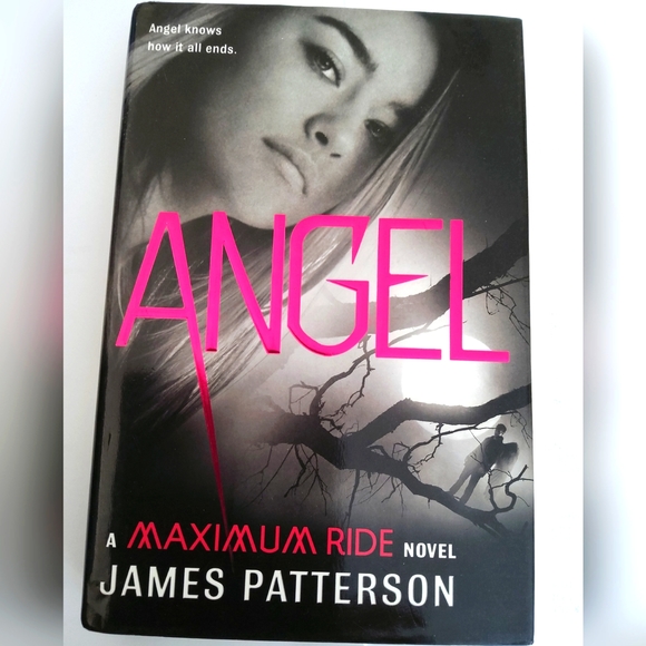 Other | Angel Maximum Ride Novel | Poshmark